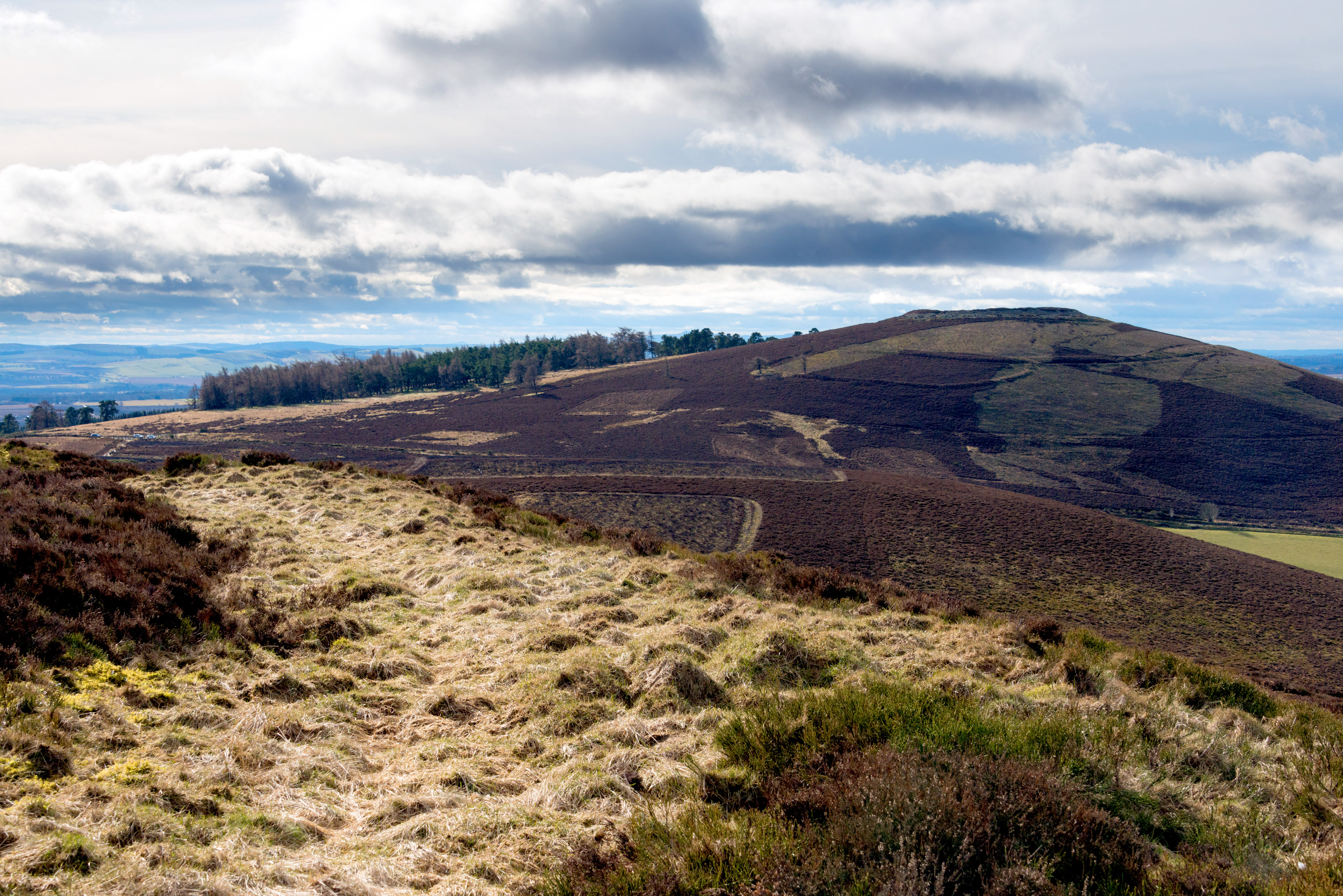 Tealing Earth House | Historic Environment Scotland | History