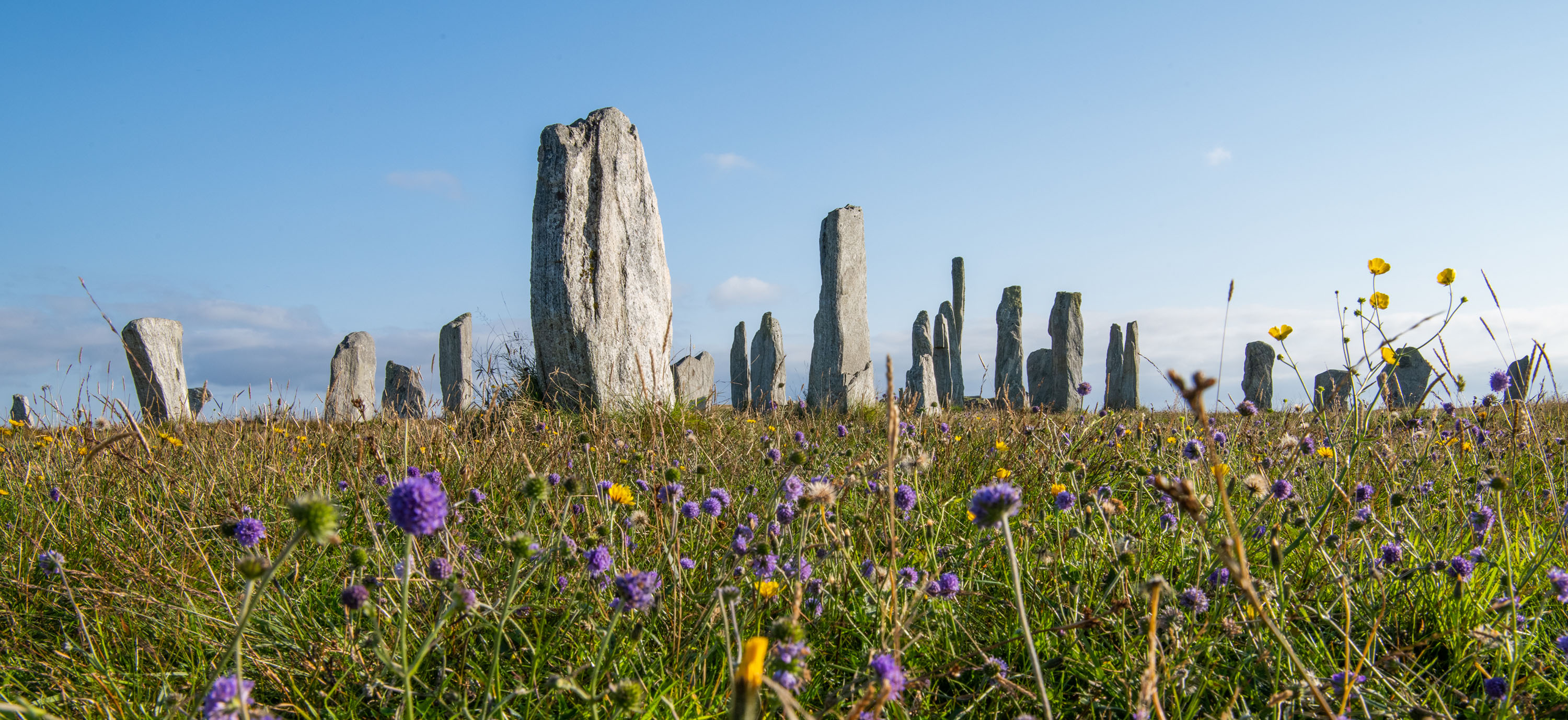 We've launched our first dedicated climate change adaptation plan ...