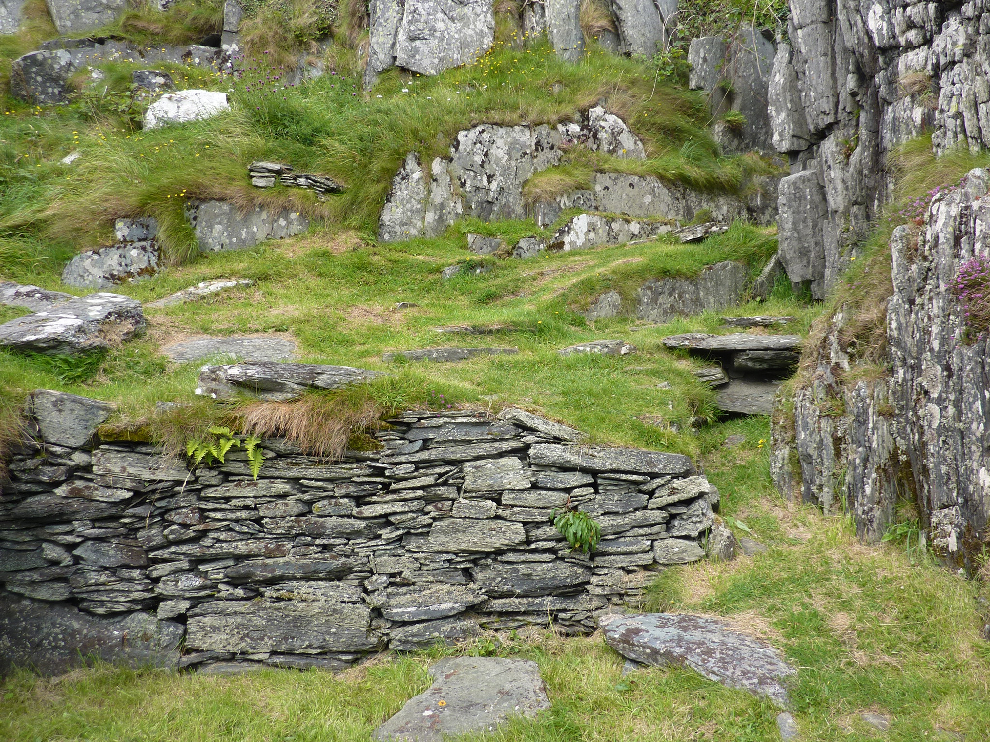 Tales from Young Storytellers